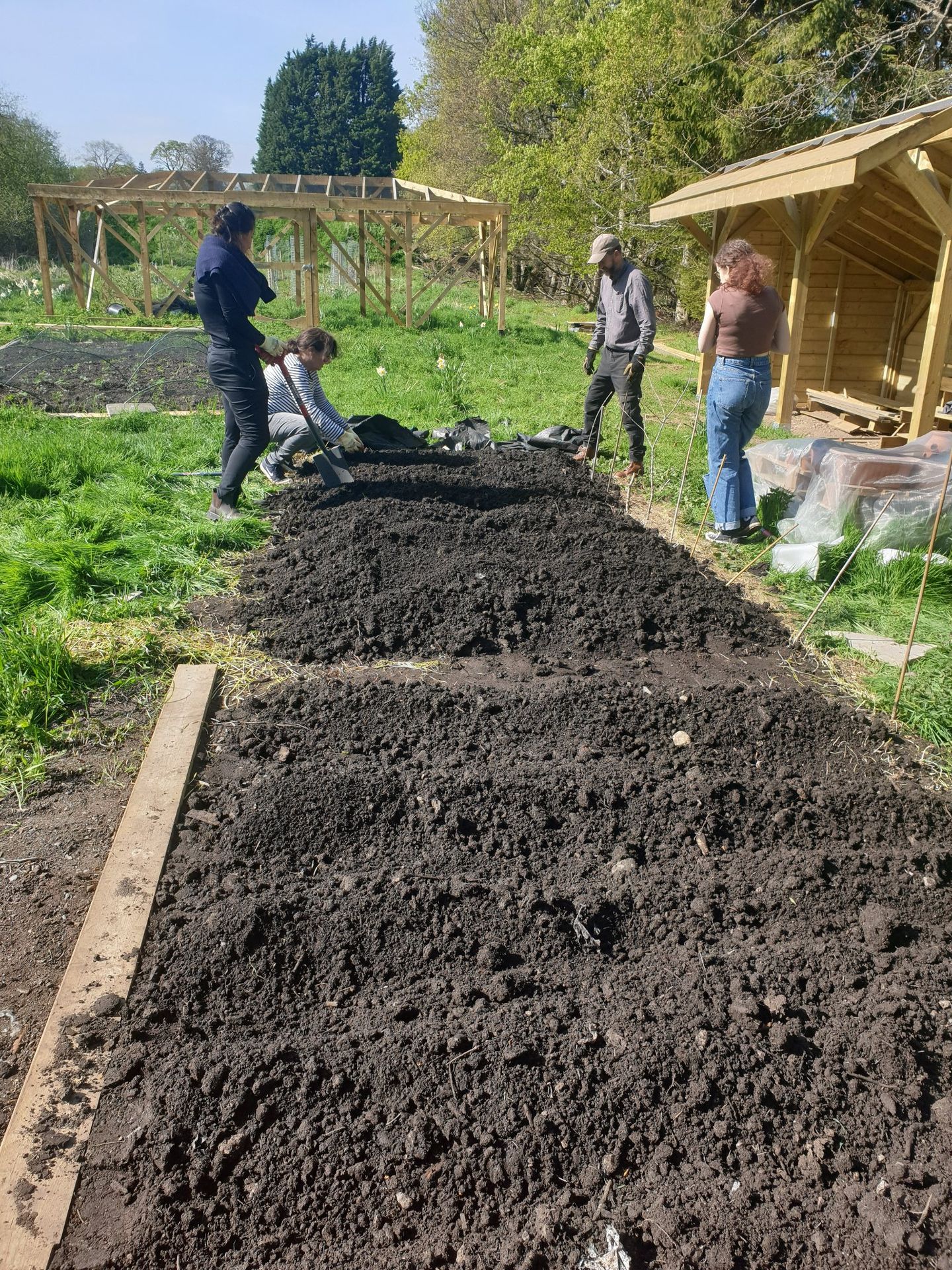 Get Involved with TAMS | Volunteer Donate, Support Local Food Aberdeen